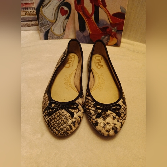 Circus by Sam Edelman | Shoes | Circus Flats | Poshmark